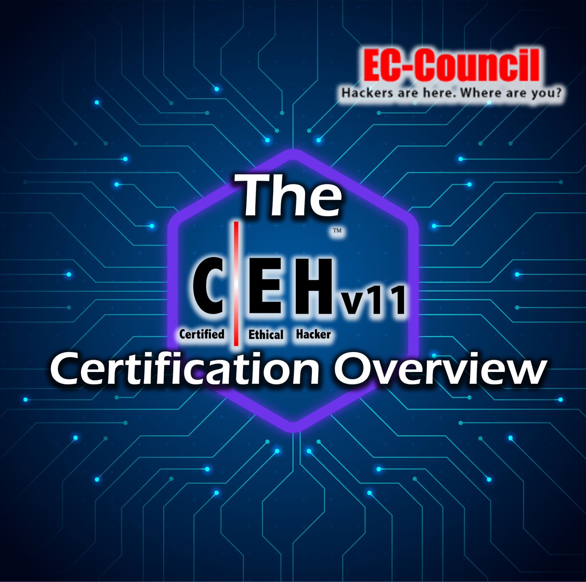 The Ultimate Sql Injection Cheat Sheet 4781