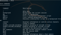 The most important Metasploit commands you'll need
