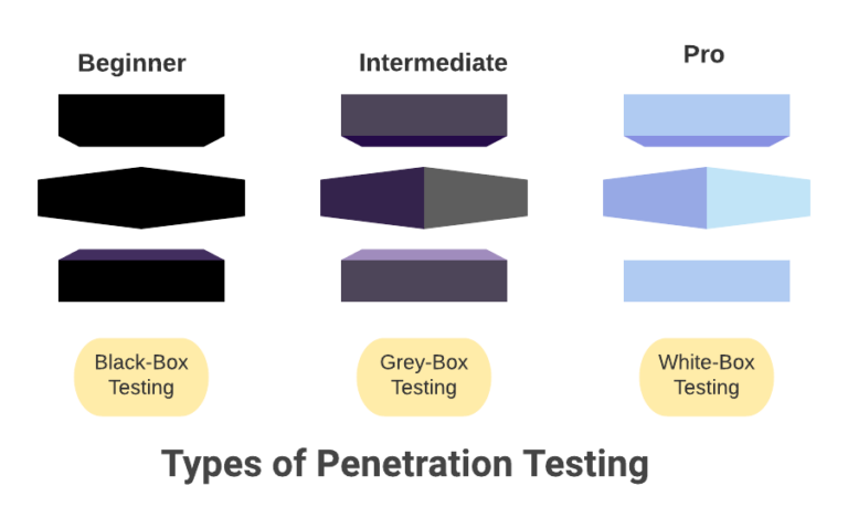 What and Who is a Pentester?
