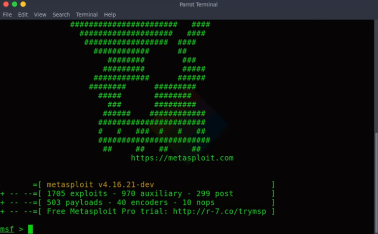 What and Who is a Pentester?