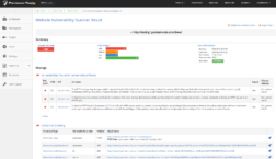 What and Who is a Pentester?