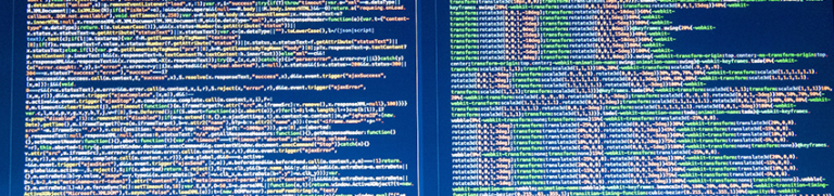 What and Who is a Pentester?