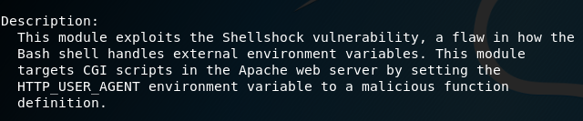 Why I Love Shellshock