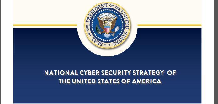 National Cyber Security Strategies in Global Perspective