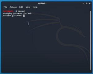 How To Secure Kali Linux and Ensure Your Protection
