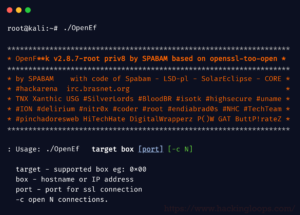 Vulnhub CTF A Step-by-Step Guide For Beginners