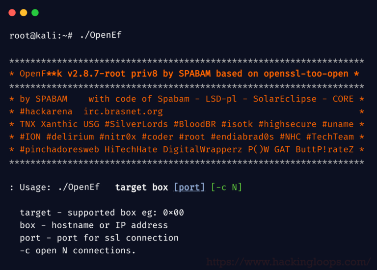 Vulnhub CTF A Step-by-Step Guide For Beginners