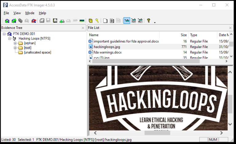 How to use FTK the Forensics Toolkit for an Investigations