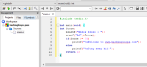 How to Bypass Software Security Checks Through Reverse Engineering