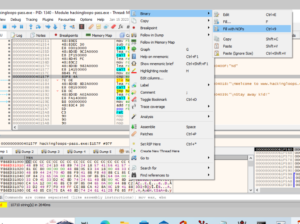 How to Bypass Software Security Checks Through Reverse Engineering