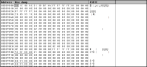 How to Bypass Software Security Checks Through Reverse Engineering