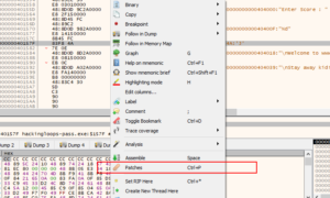 How to Bypass Software Security Checks Through Reverse Engineering